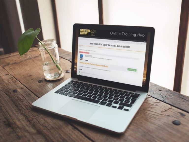 How to Write a Book: Online Novel Writing Course - Industrial Scripts®